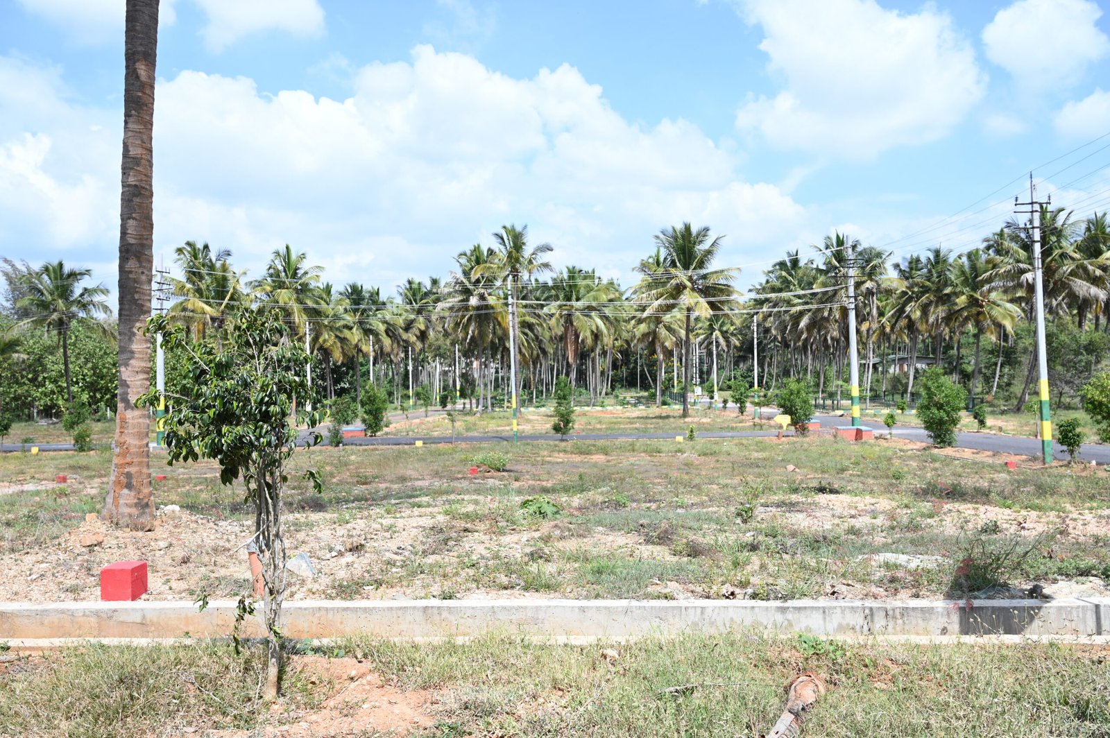 1903 SERENITY – VINYAS GROUP